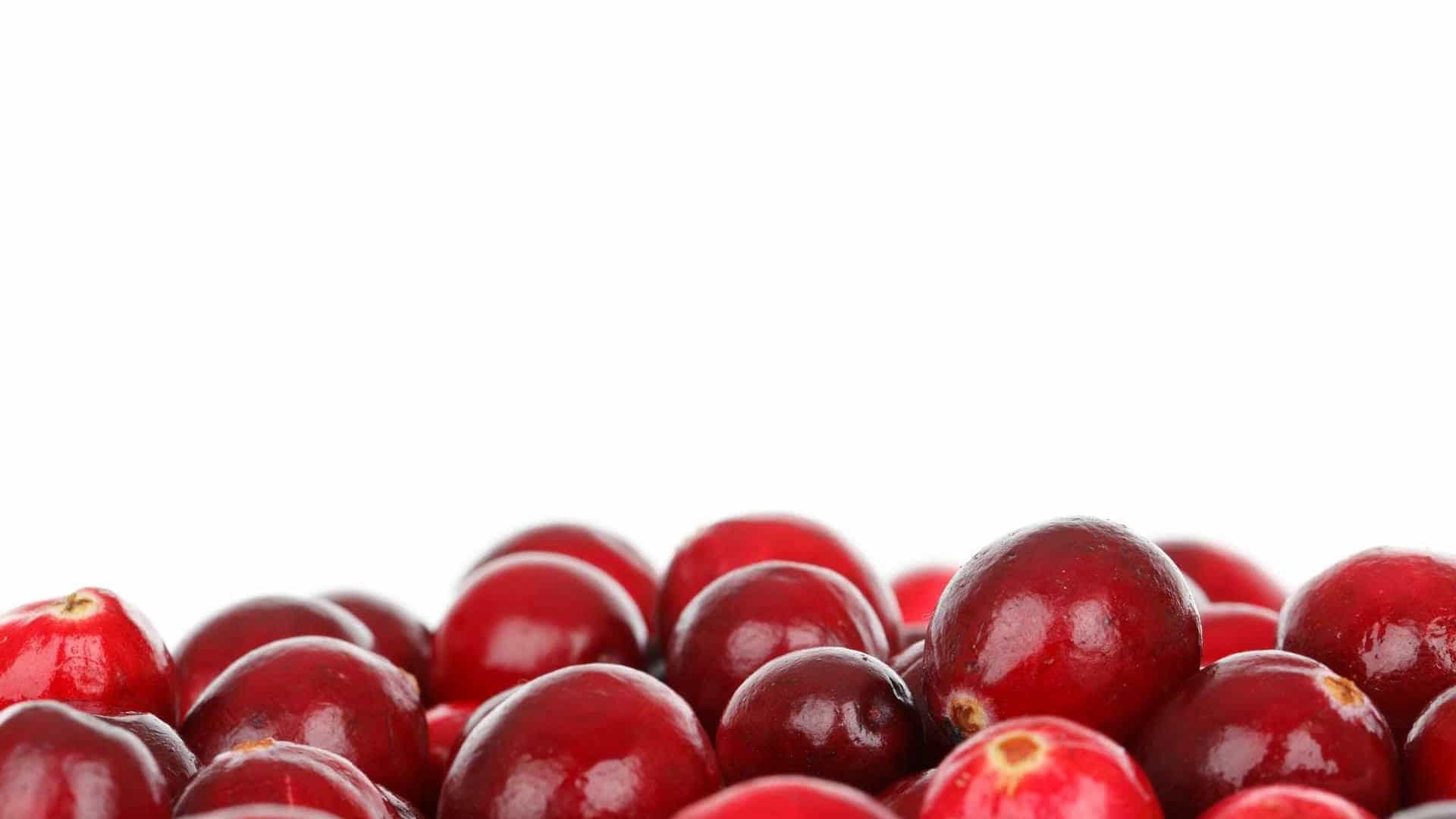 Arando: a fruta que aprimora o cérebro e reduz o colesterol - MAGnetik