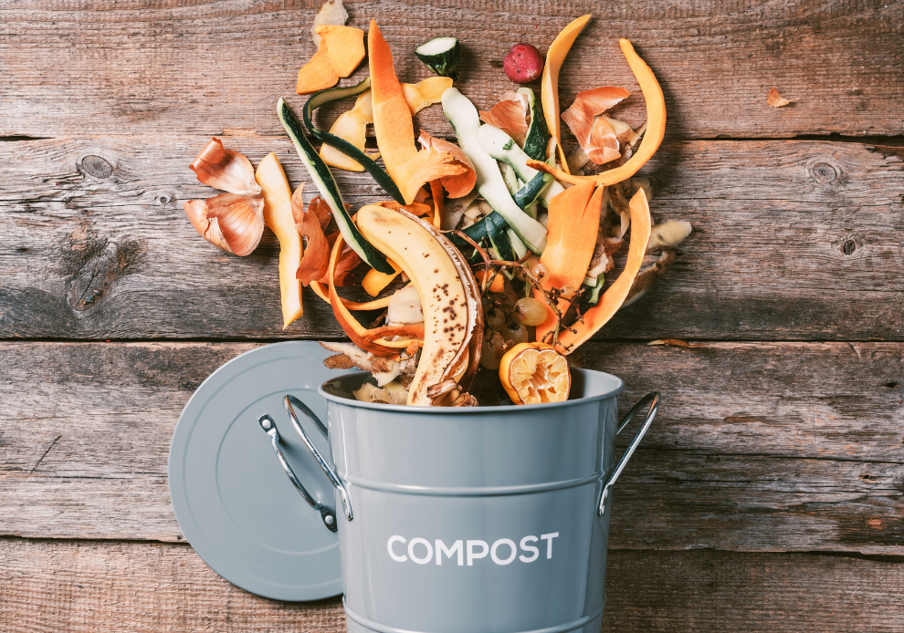 Compostagem caseira - Magnetik Alchemy