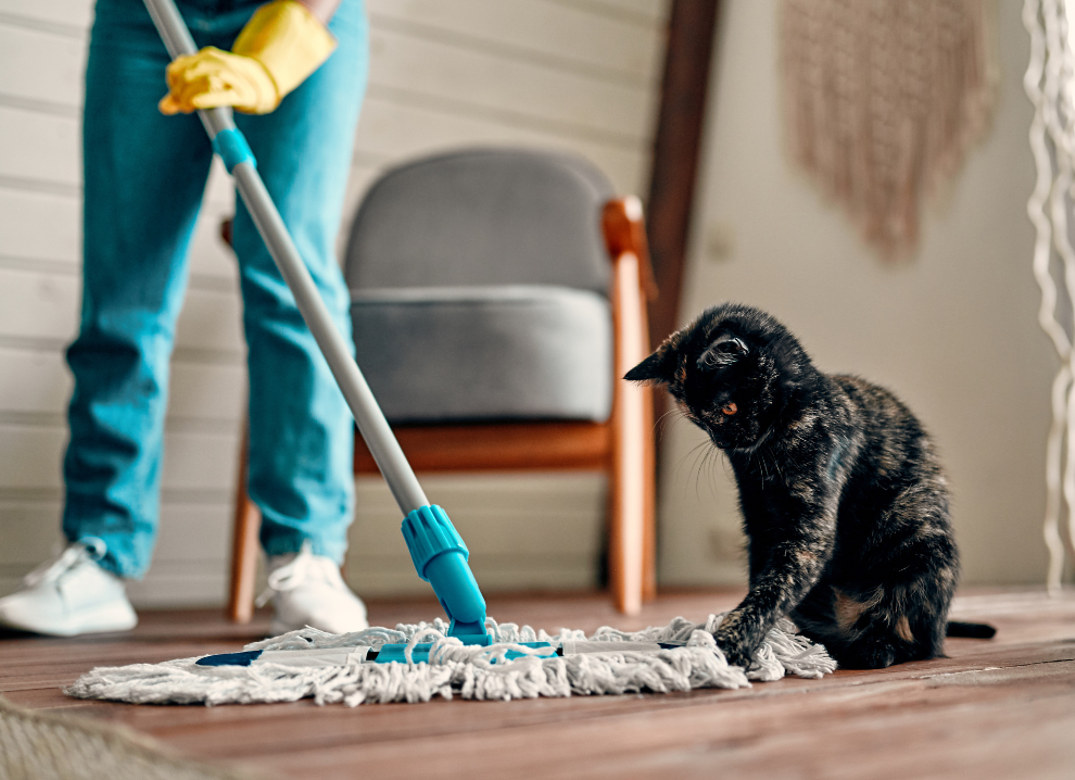 Trabalho Doméstico: O que diz a Lei? - Magnetik Alchemy